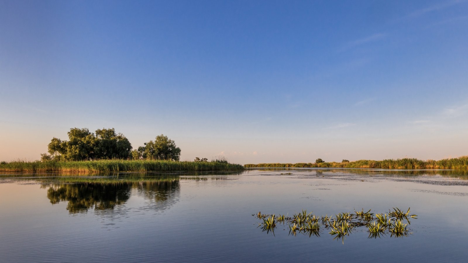 Informatii Delta Dunarii | Blog Turism Delta - Turism Delta